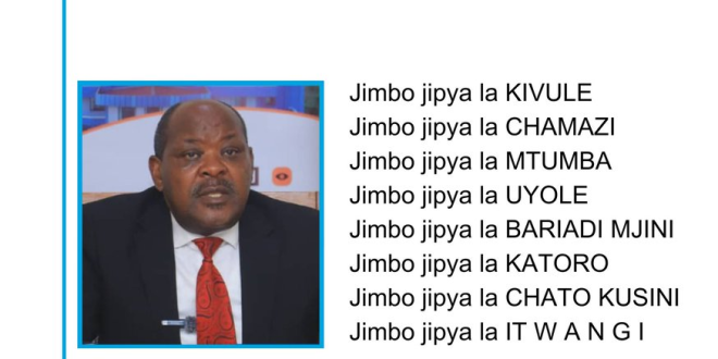 MAJIMBO MAPYA YA UCHAGUZI YALIYOANZISHWA 2025 – Matokeo ChanyA+
